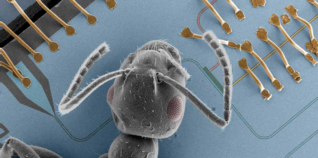 Quantum Devices – Laboratory for Solid State Physics | ETH Zurich